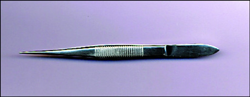 Forceps, Economy, Dissecting, - Canadawide Scientific